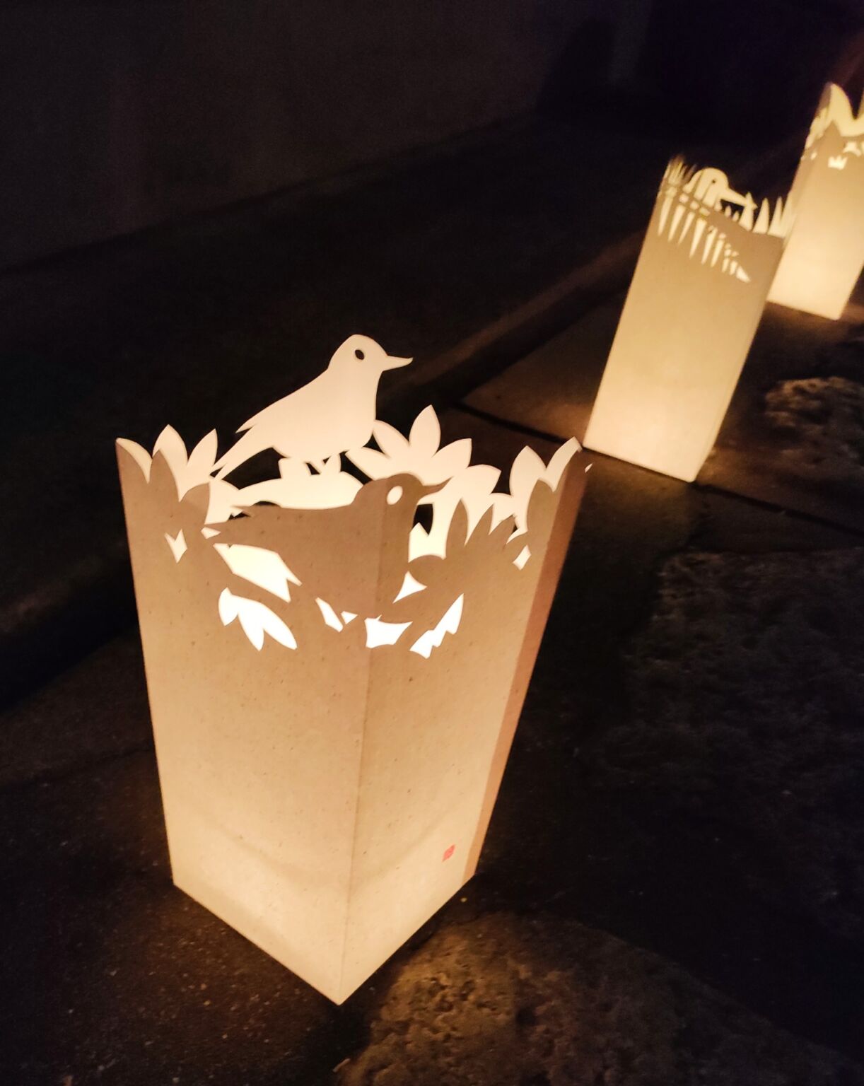 IMG_20221008_210706_20221011165122 | FMおのみちWeb