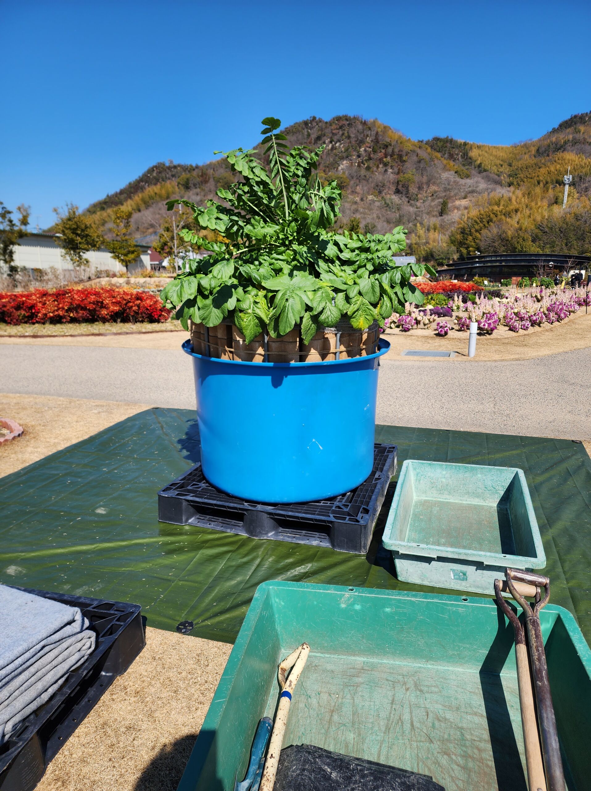 20230222_125149 | FMおのみちWeb